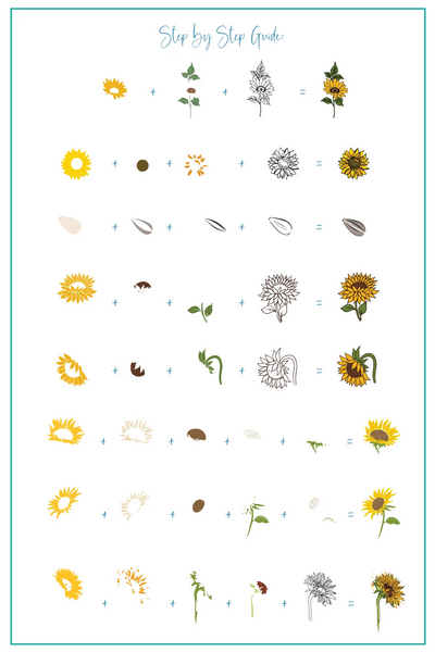 Glow like a Sunflower (CjS-370) - Clear Jelly Stamping Plate | LuvNailz